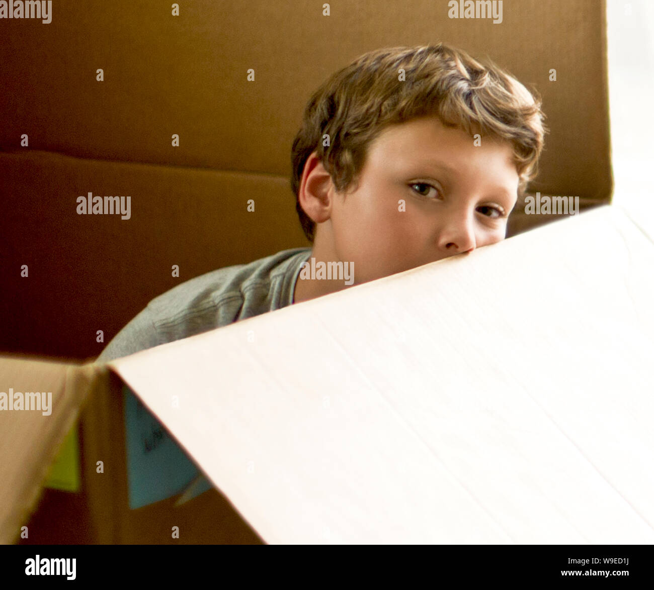 Boy hiding in a box Stock Photo - Alamy