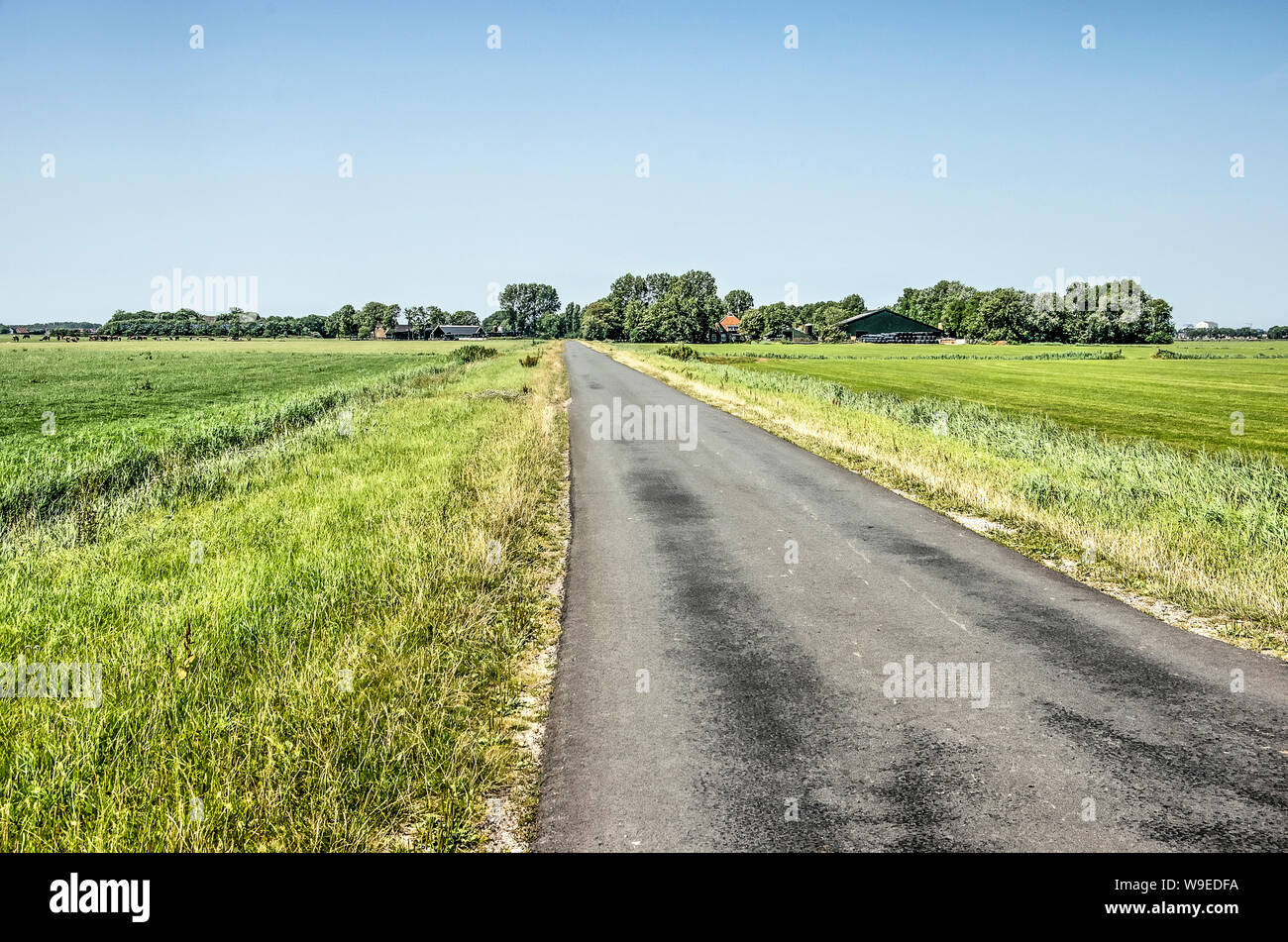 Narrow asphalt road between green meadows leading to a cluster of farms ...