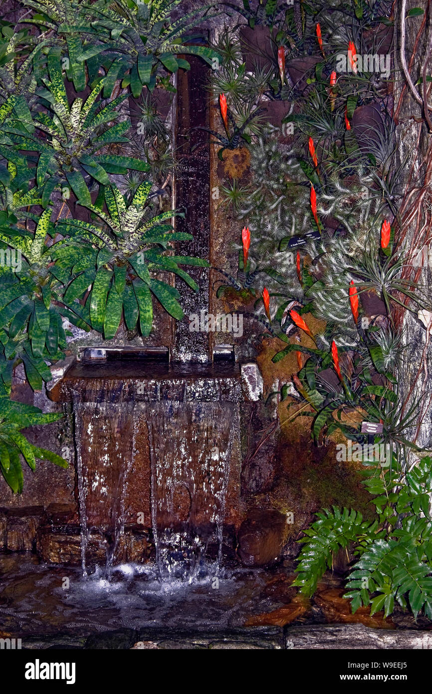 vertical fountain; water flowing; plants; red flowers; stone; soothing ...