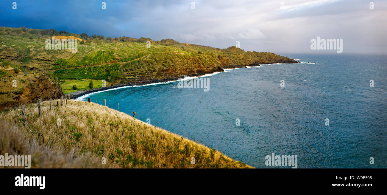 Coastal tussock grass hi-res stock photography and images - Alamy