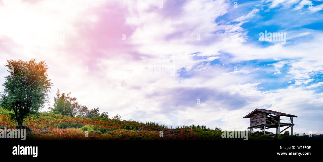 Rural scene Abandoned cottage is located with beautiful sky and cloud ...