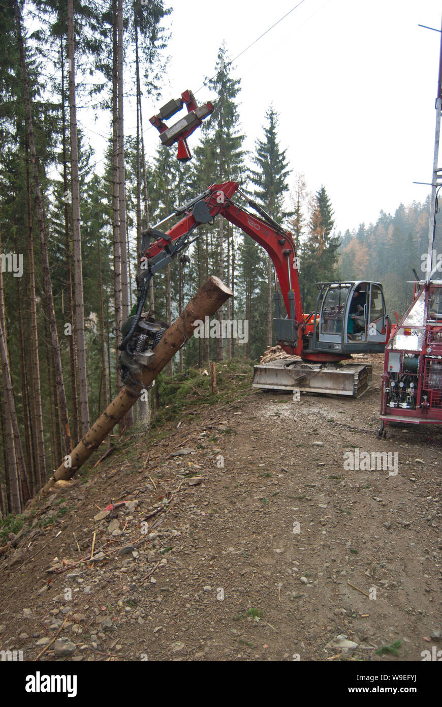 Timber harvesting with skyline crane and manipulator in autumnal misty ...