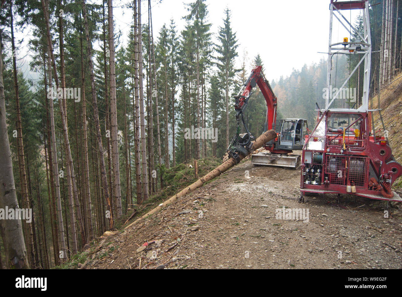 Timber harvesting with skyline crane and manipulator in autumnal misty ...