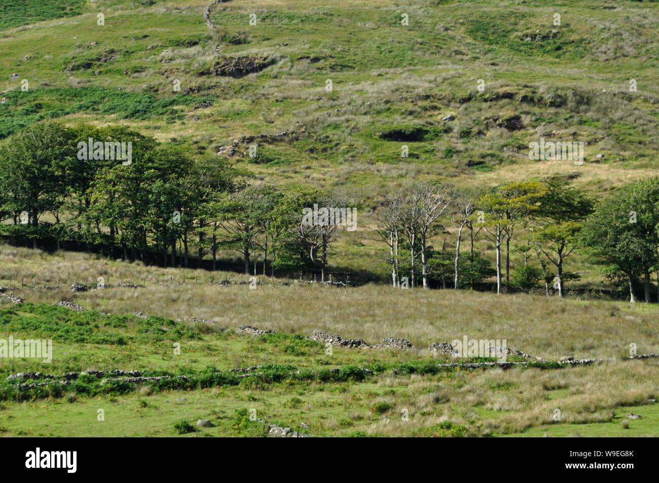 Auf einer Wanderung am Llyn Cwmystradllyn Stock Photo - Alamy Auf einer Wanderung am Llyn Cwmystradllyn Stock Photo - Alamy