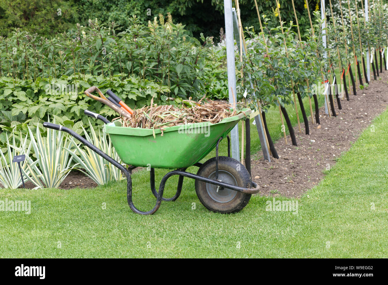 Wheelbarrow full vegetables hi-res stock photography and images - Alamy
