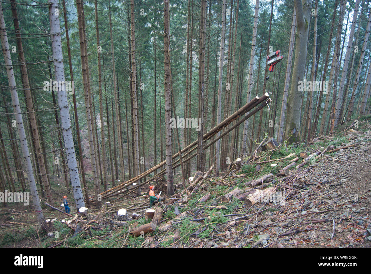 Timber harvesting a log with skyline crane and manipulator, called ...