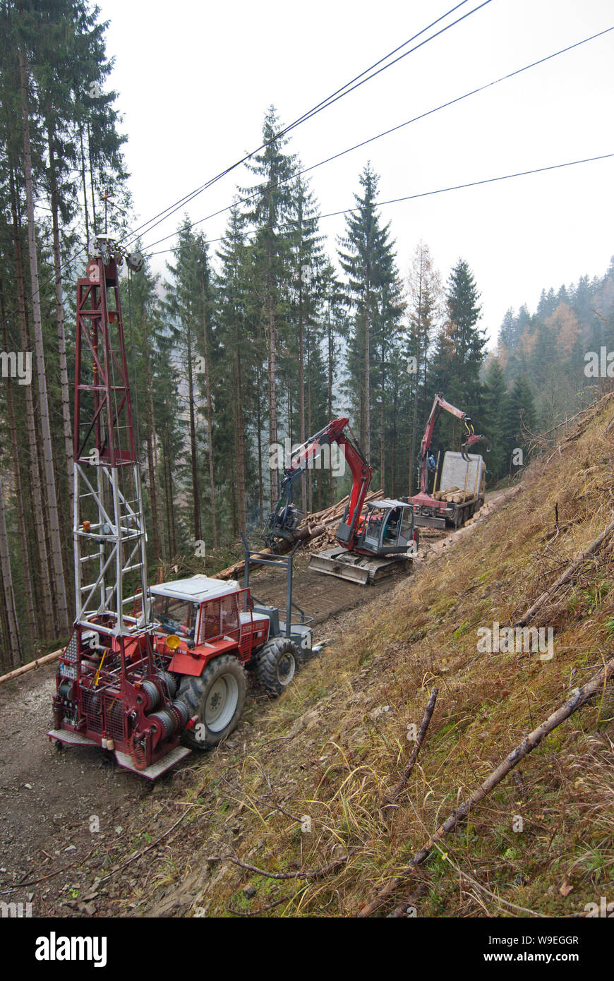 Timber Harvesting Machine High Resolution Stock Photography and Images ...
