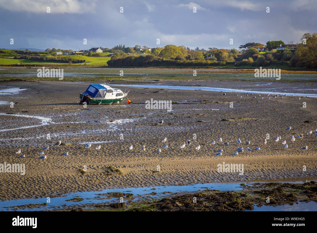 Killala ireland hi-res stock photography and images - Alamy
