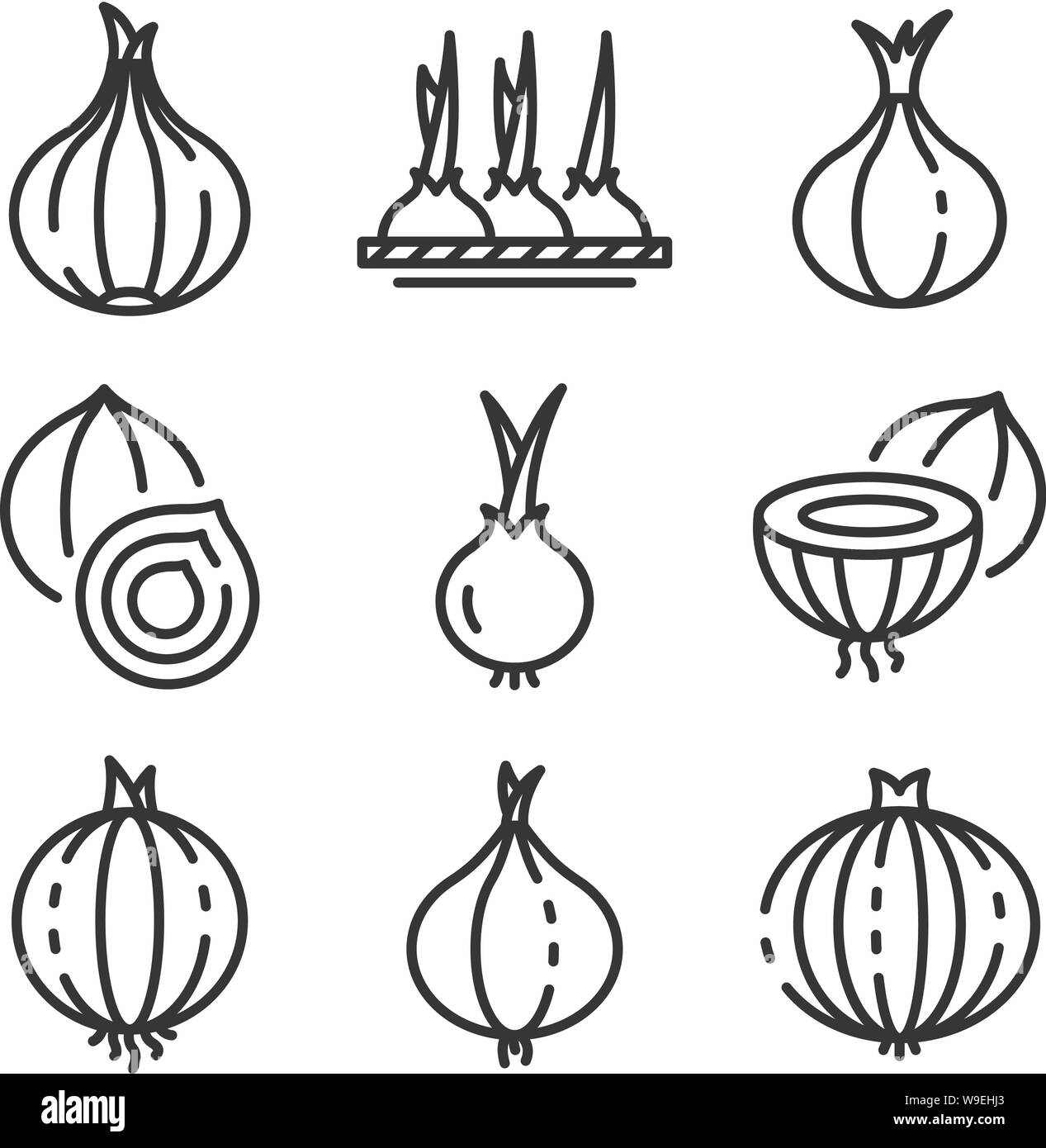 Chopped spring onion Black and White Stock Photos & Images - Alamy