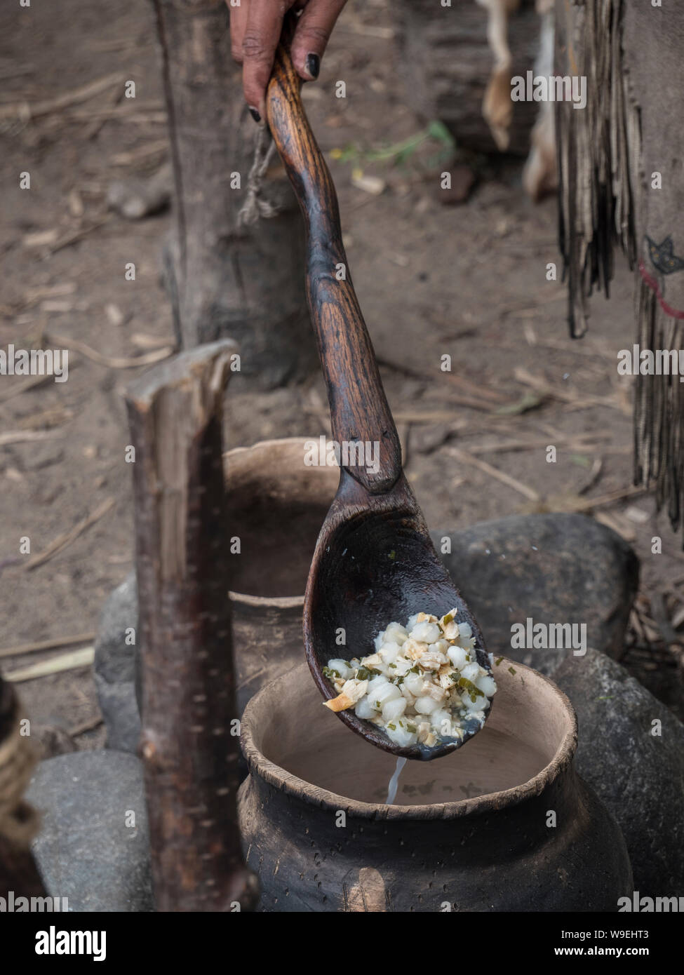 Wampanoag corn hi-res stock photography and images - Alamy