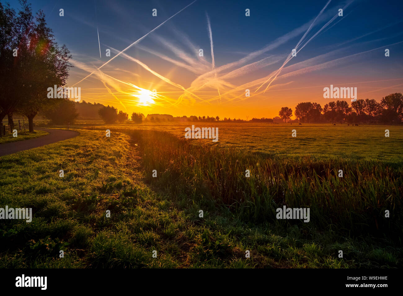 Dutch countryside river flowers hi-res stock photography and images - Alamy
