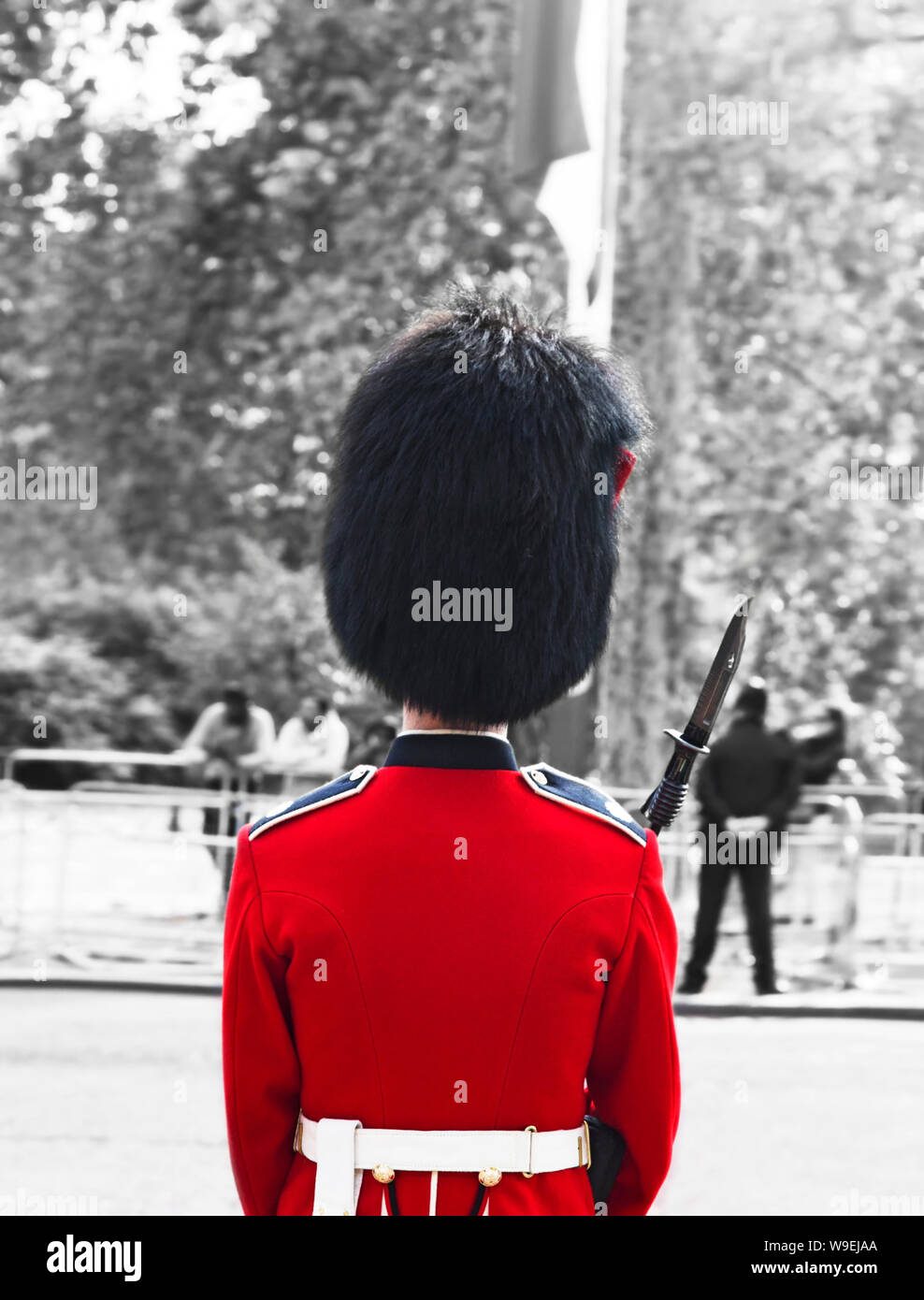 the guards of the Buckingham Palace during the traditional Changing of ...