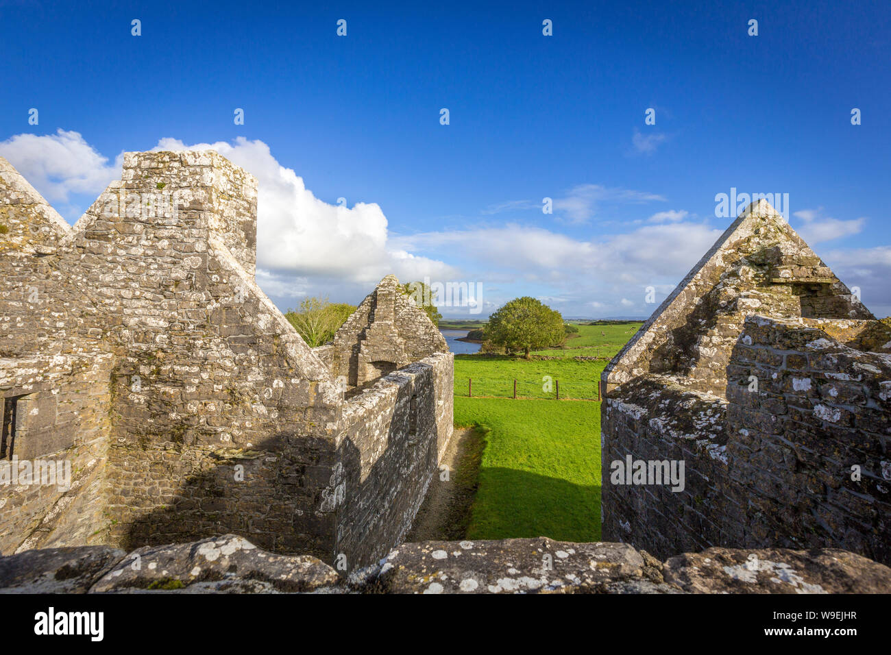 old Moyne Abbey near Killala, Co Mayo, Ireland Stock Photo - Alamy
