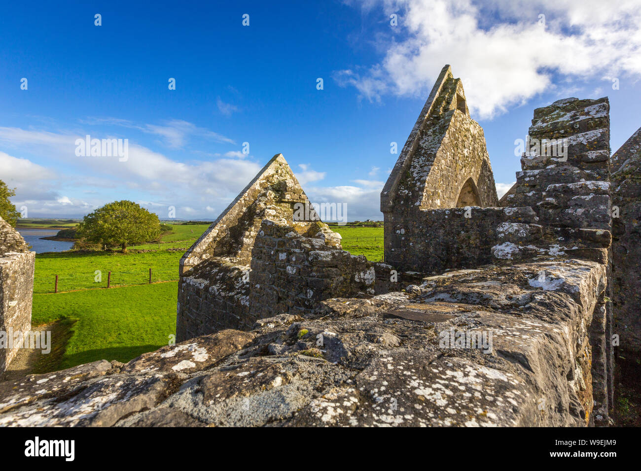 old Moyne Abbey near Killala, Co Mayo, Ireland Stock Photo - Alamy