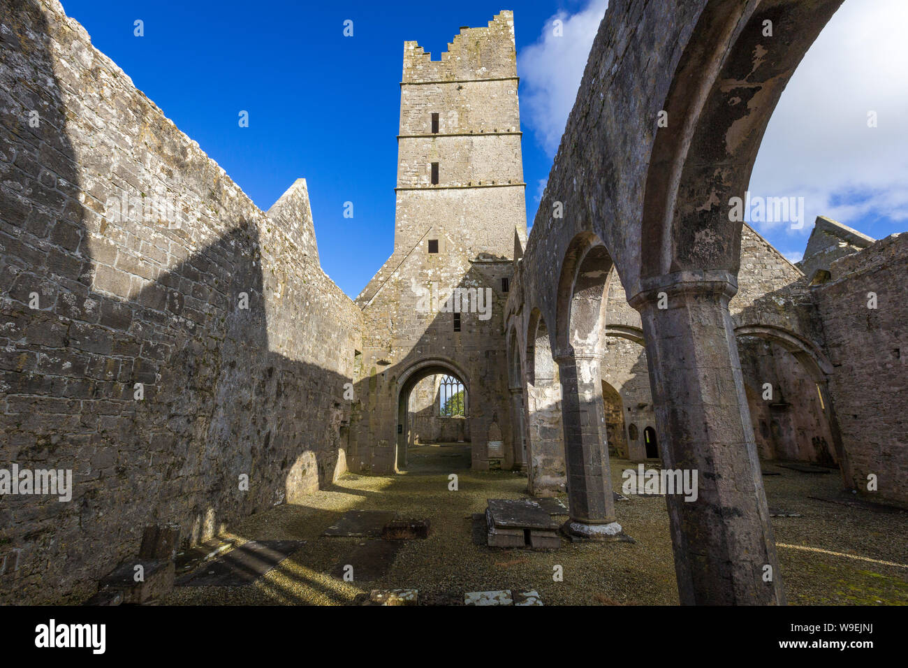 old Moyne Abbey near Killala, Co Mayo, Ireland Stock Photo - Alamy