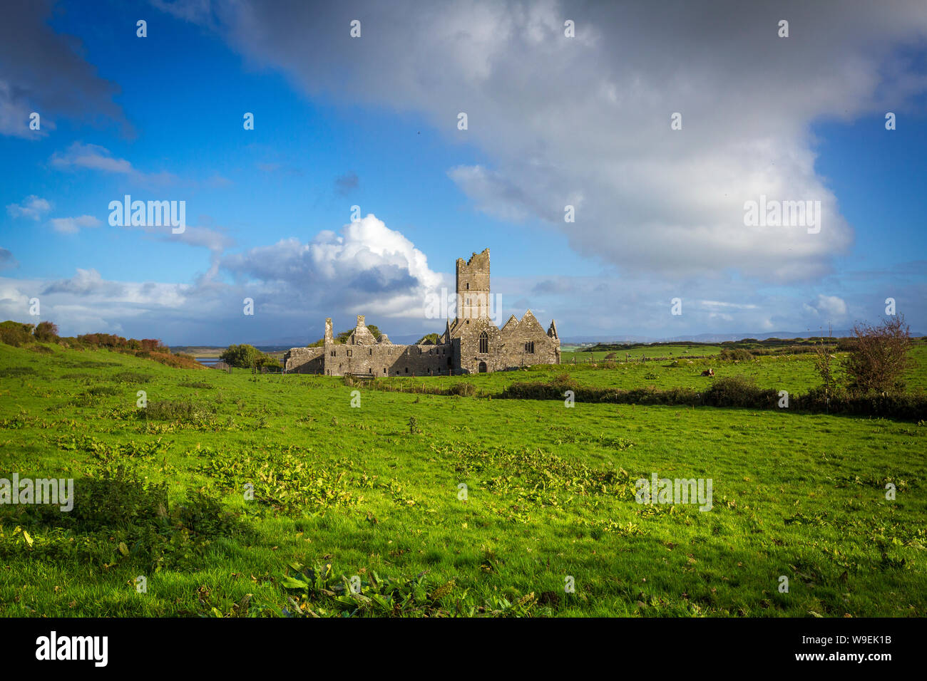 old Moyne Abbey near Killala, Co Mayo, Ireland Stock Photo - Alamy