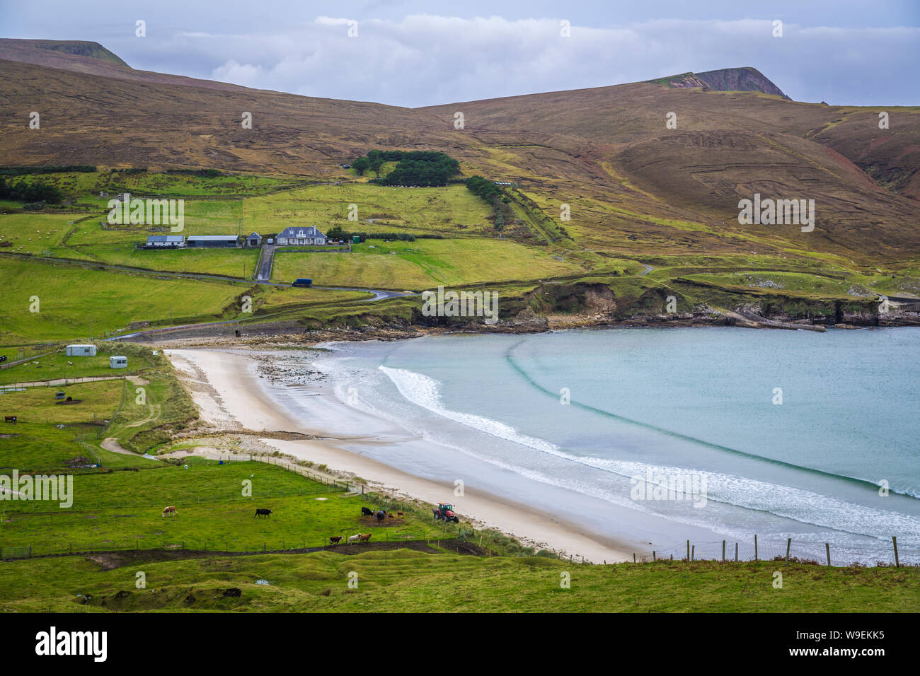 Portacloy mayo hi-res stock photography and images - Alamy