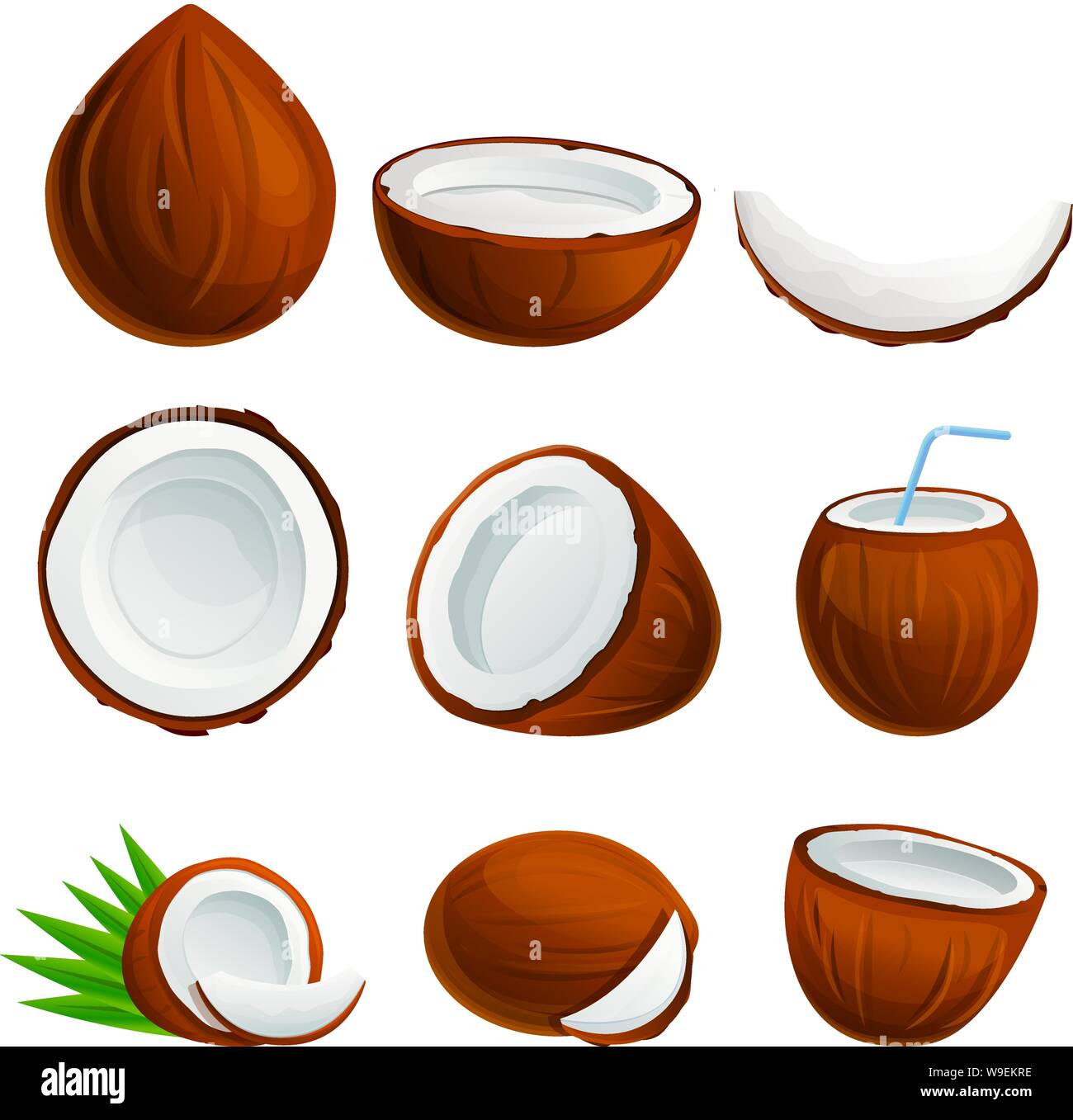 Coconut icons set. Cartoon set of coconut vector icons for web design ...