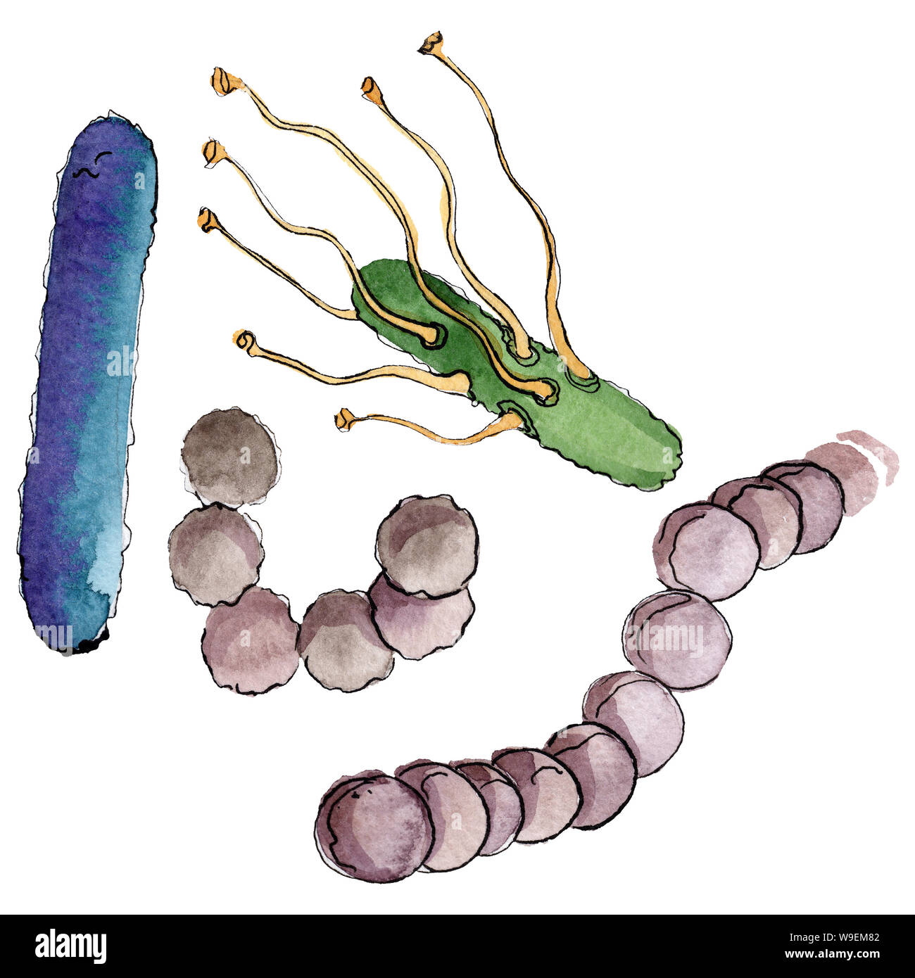 Microbe or germ hand drown illustration. Watercolor background ...