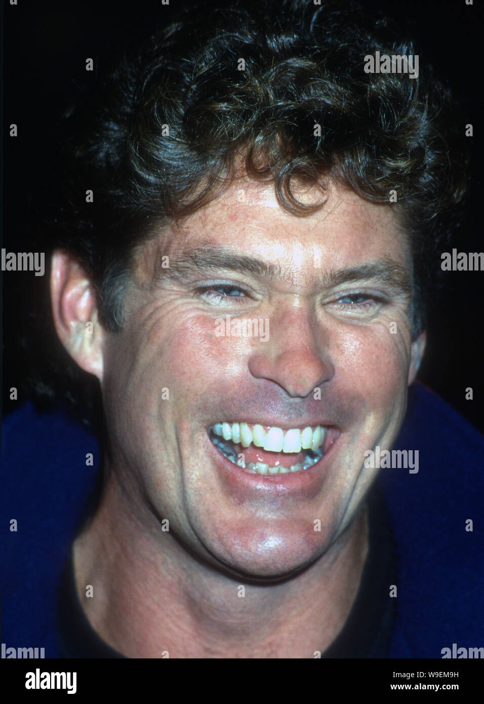 David hasselhoff singer hi-res stock photography and images - Alamy
