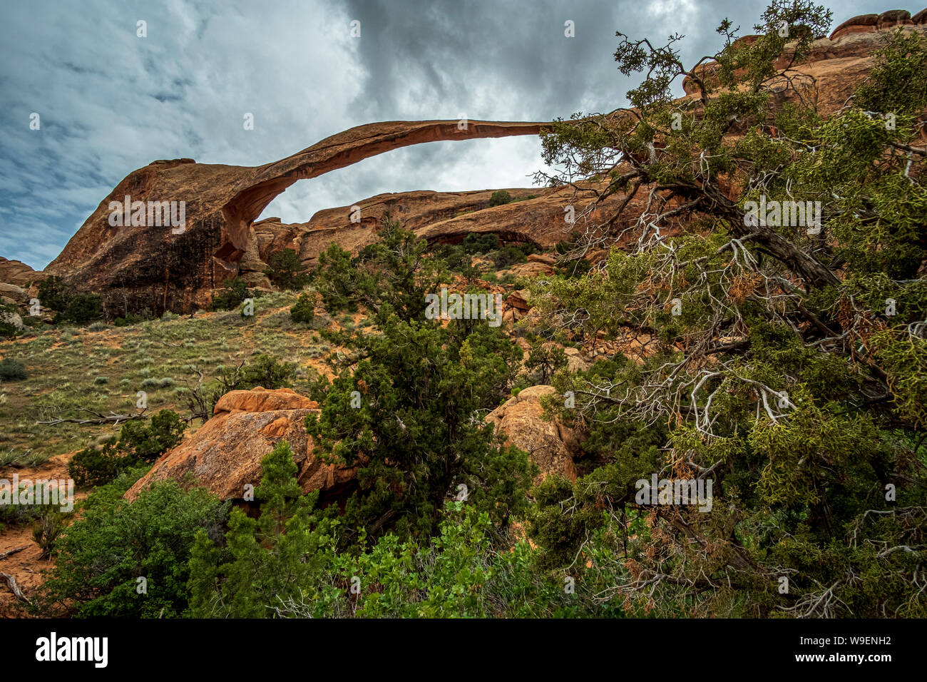 Thin arch hi-res stock photography and images - Alamy