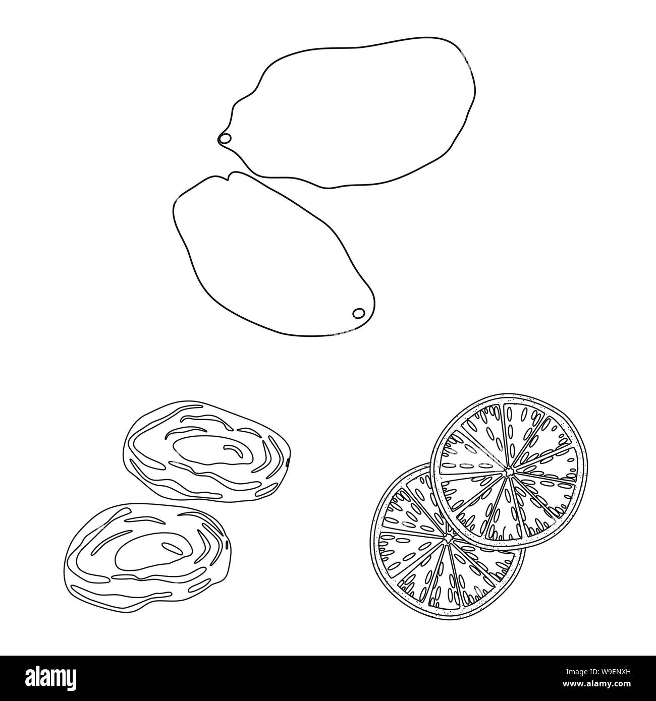 Vector illustration of food and raw icon. Set of food and nature stock ...