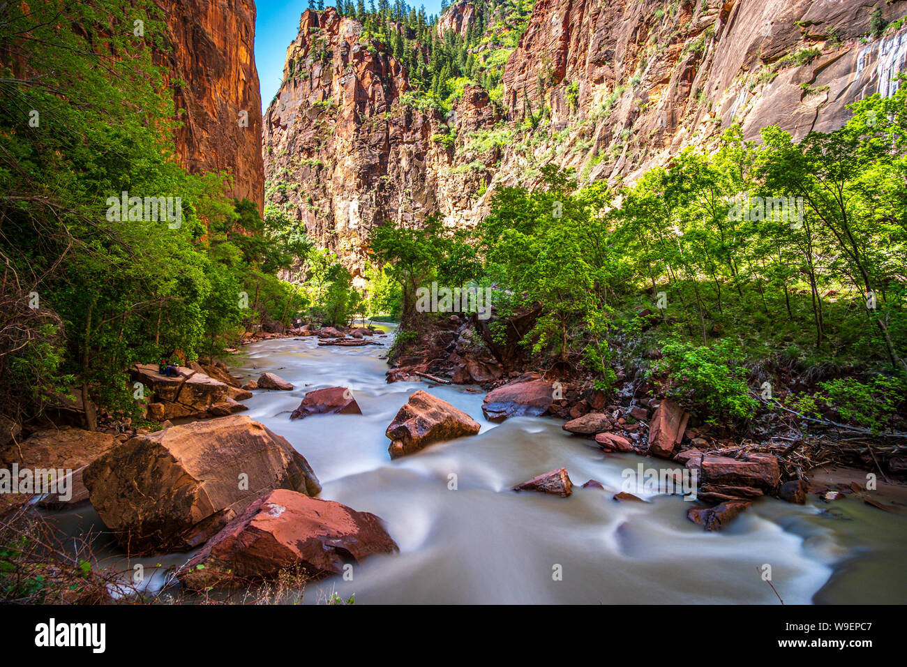Beautiful Zion National Park in Utah, USA Stock Photo - Alamy