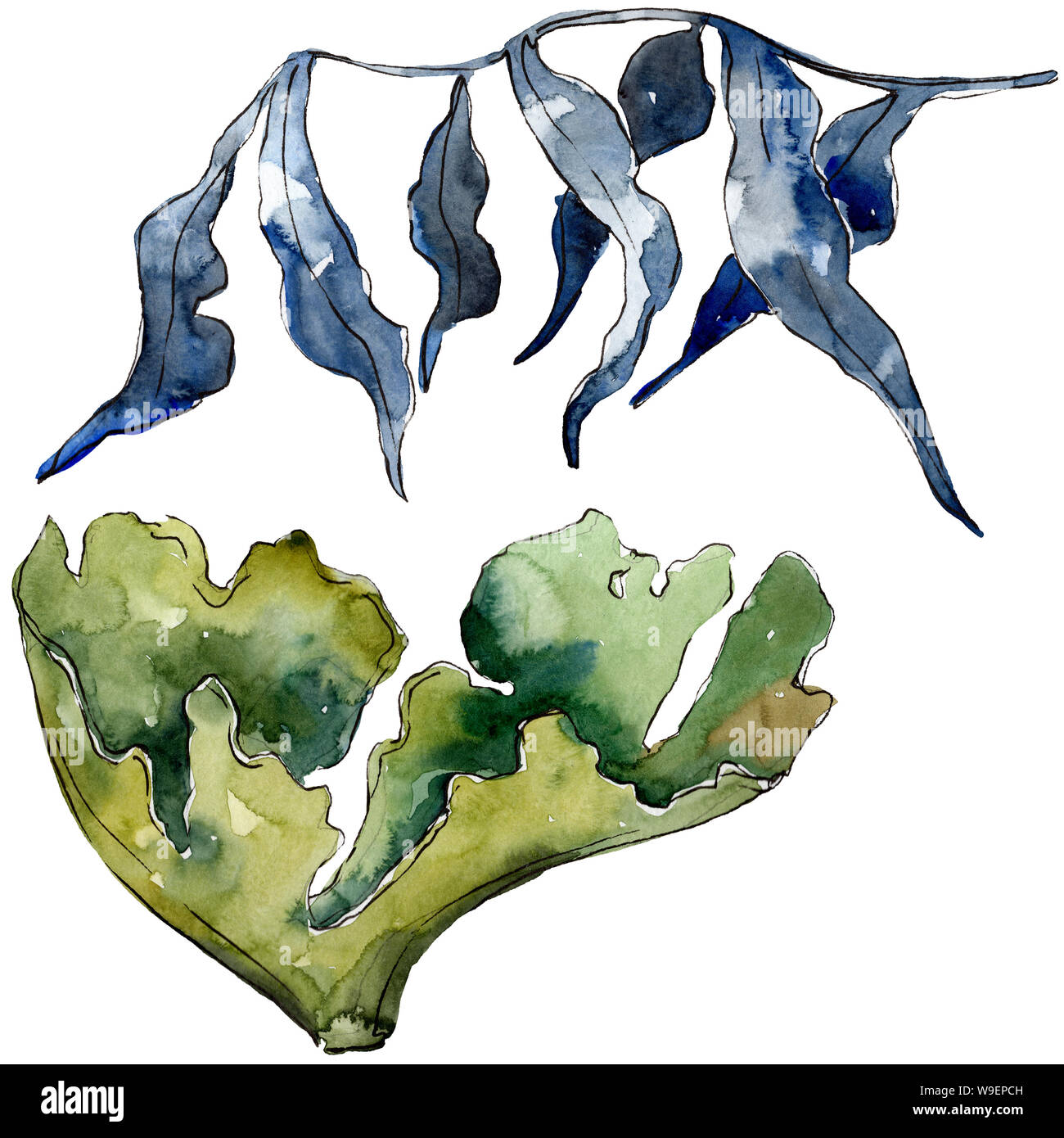 Green and blue aquatic nature coral reef. Tropical plant sea and ocean ...