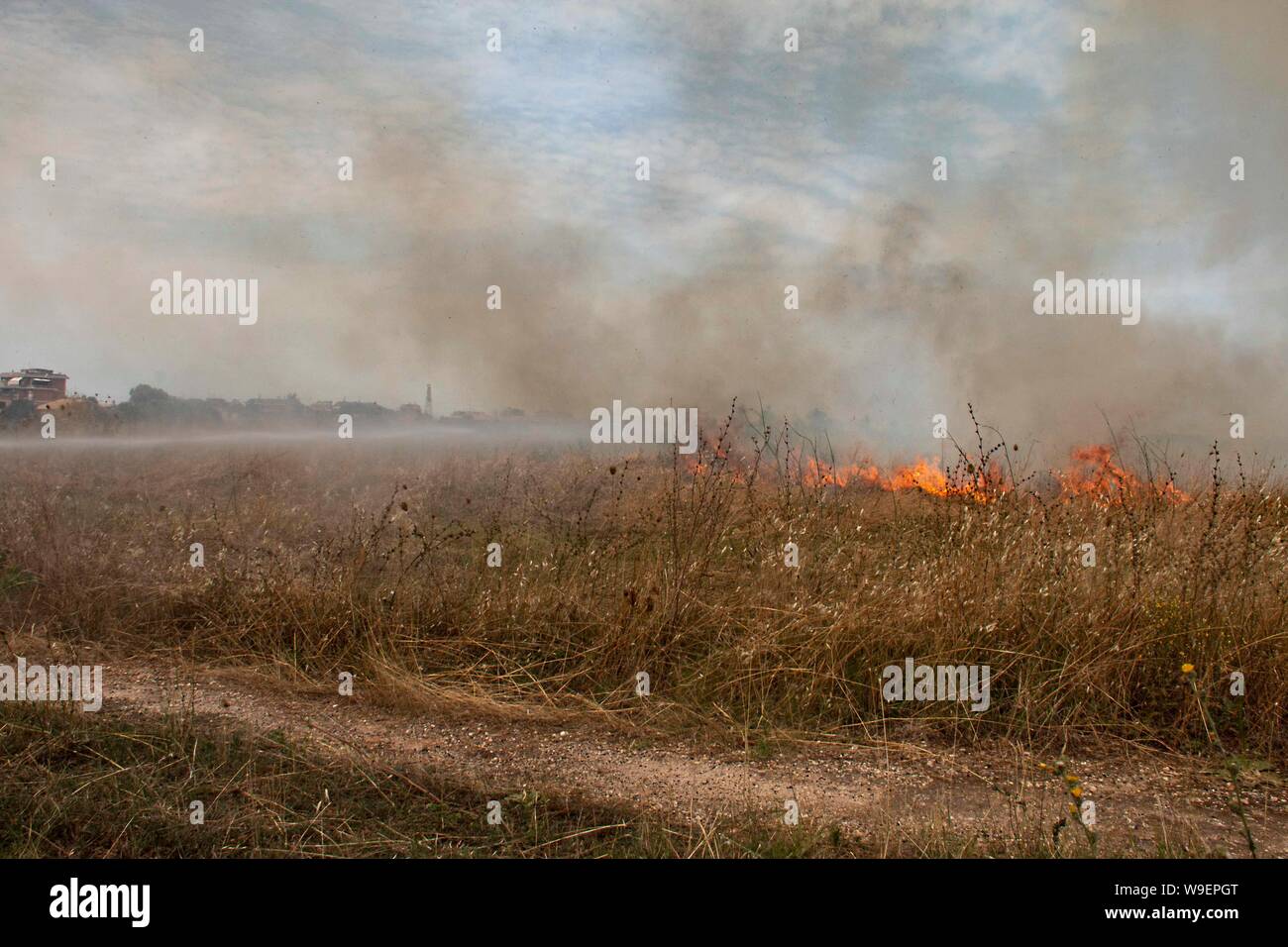 Fire natura hi-res stock photography and images - Alamy