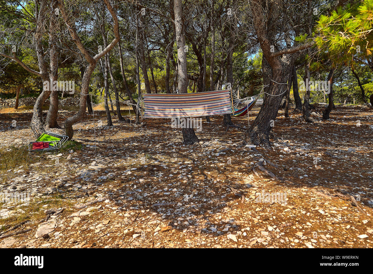 Hammock between two trees Stock Photo - Alamy