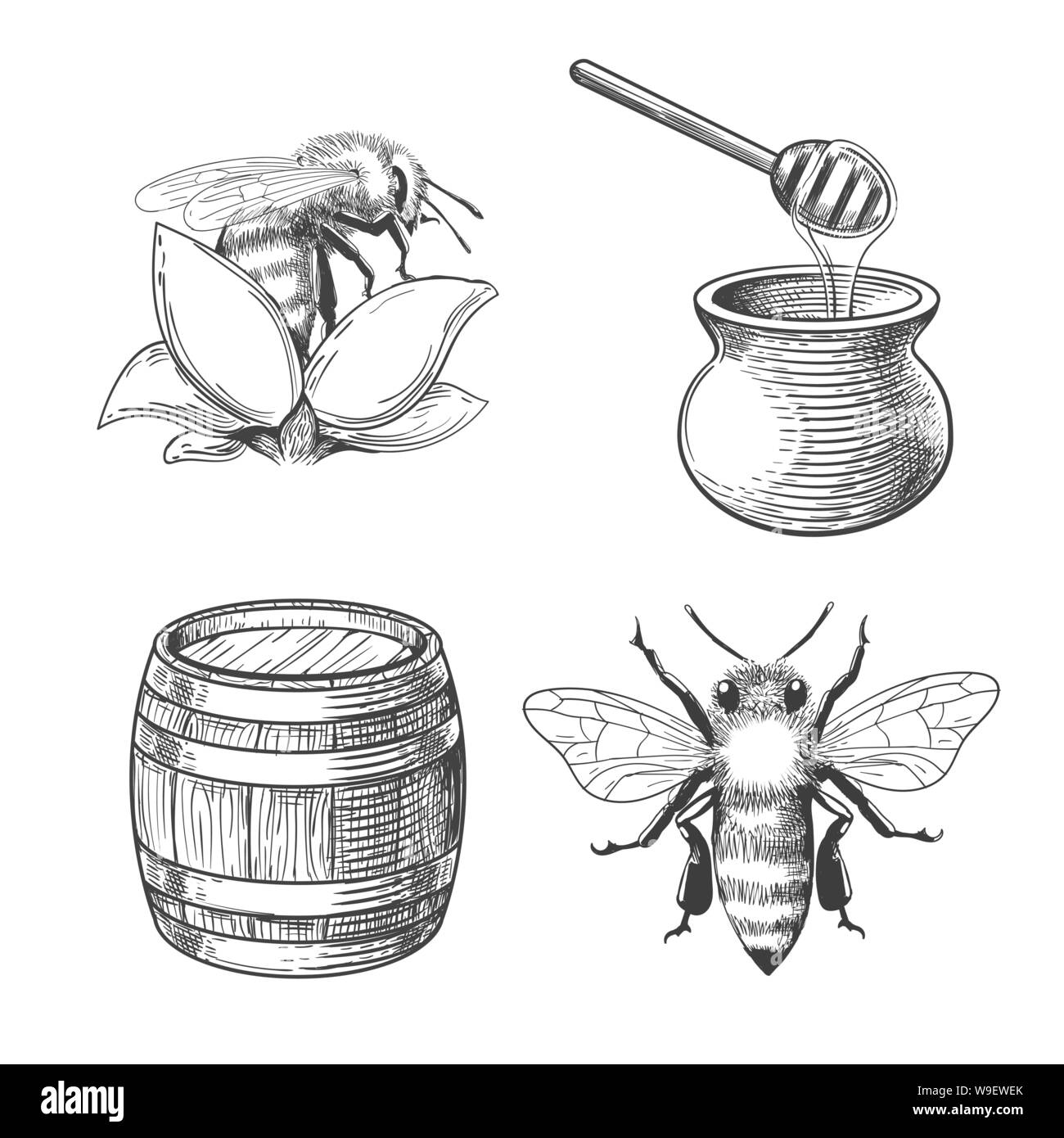 Vintage honey jar dipper Cut Out Stock Images & Pictures - Alamy
