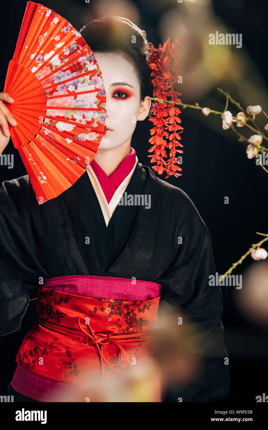 Beautiful Geisha Face