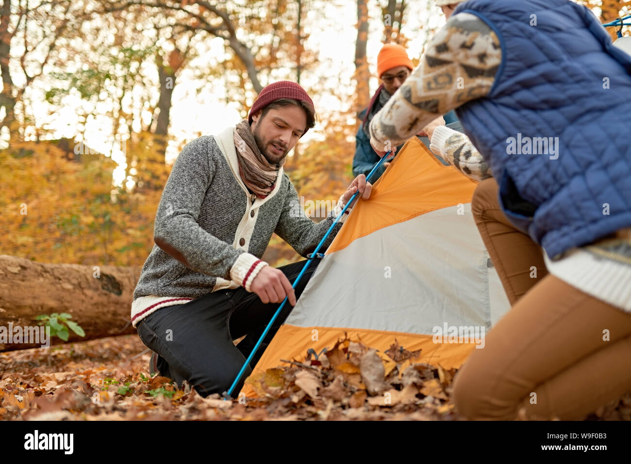 Group of Canadian hikers setting up a tent in a fall forrest Stock ...