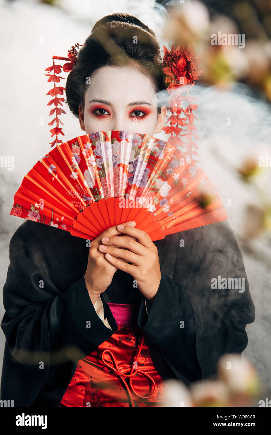 Beautiful Geisha Face