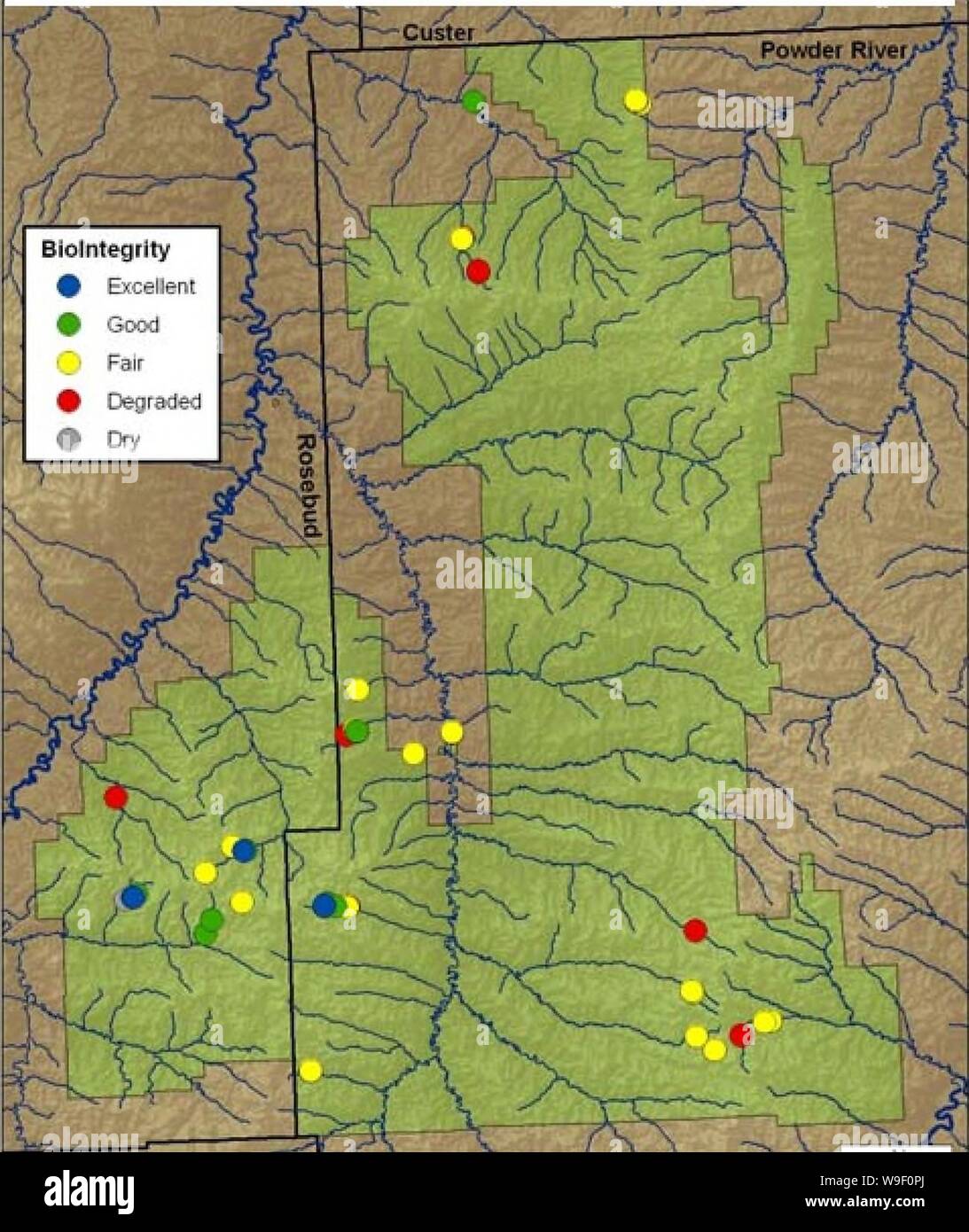 Macroinvertebrate hi-res stock photography and images - Alamy