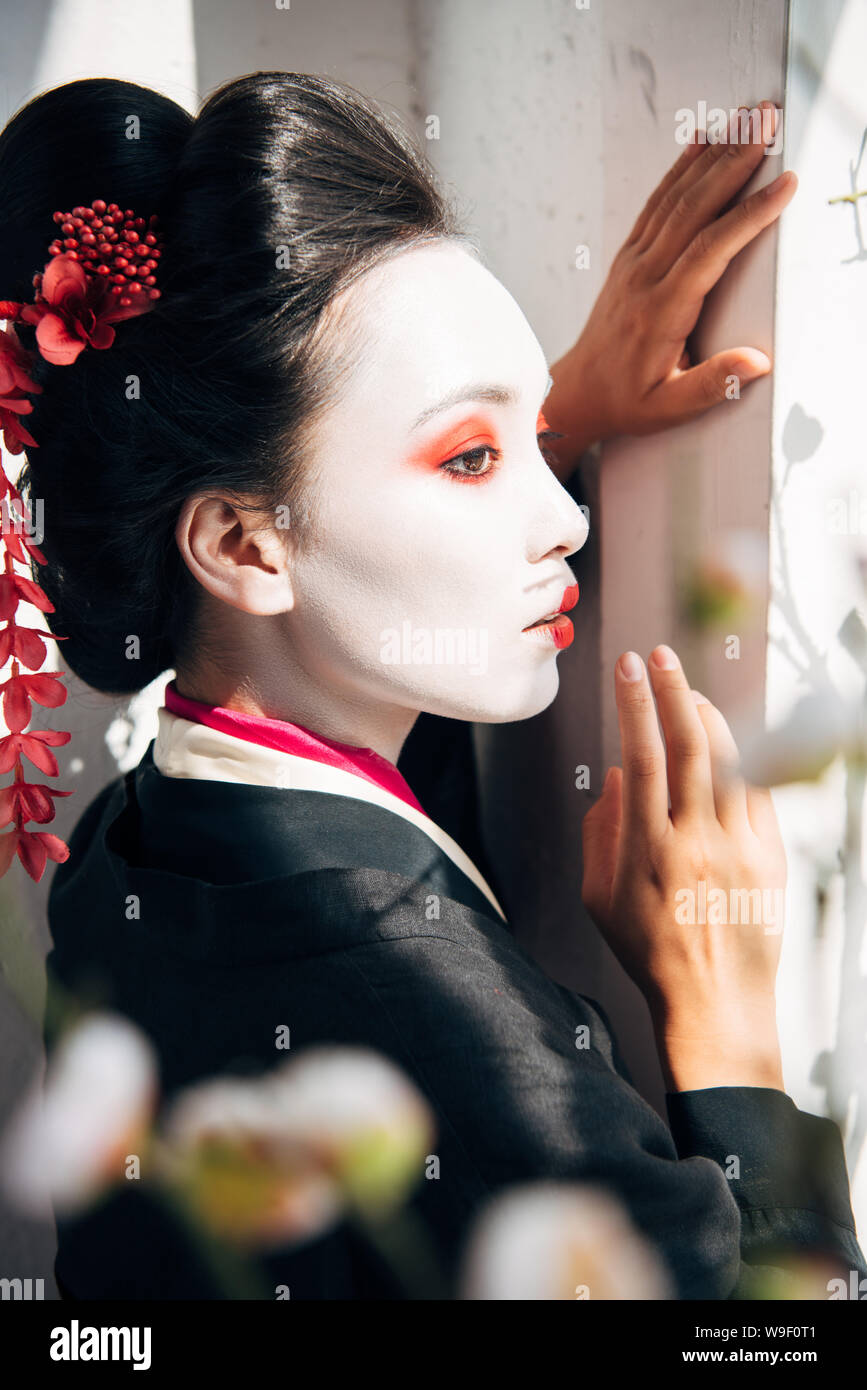 selective focus of sakura branches and beautiful geisha near white wall ...