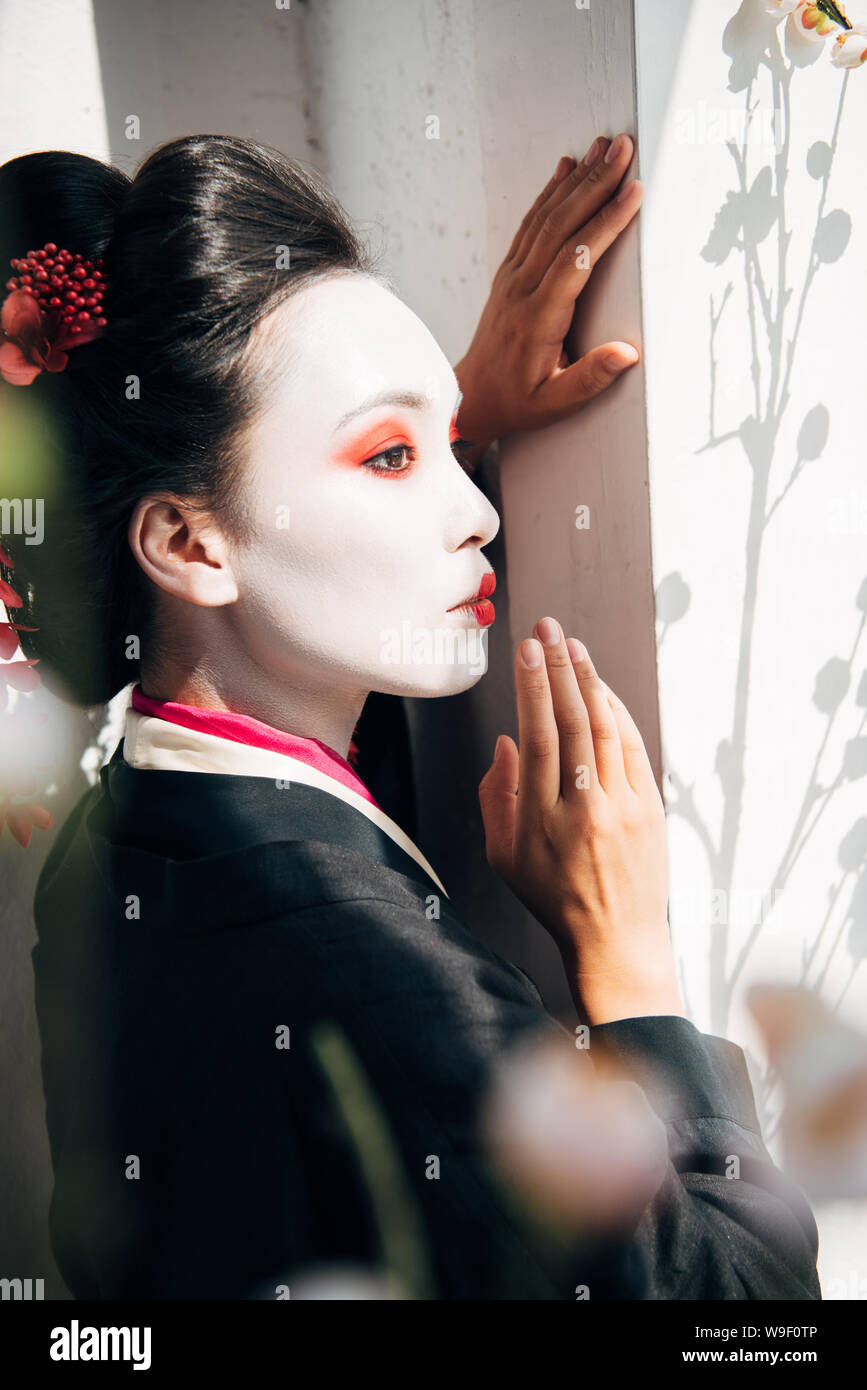Beautiful young geisha sakura hi-res stock photography and images - Alamy