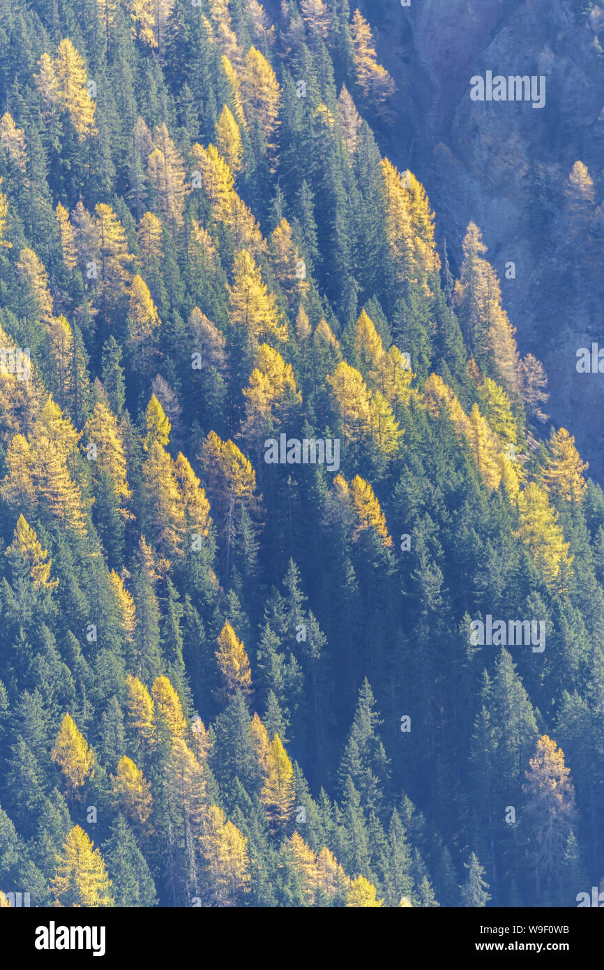 Autumn colors in the Dolomites, Italy Stock Photo - Alamy