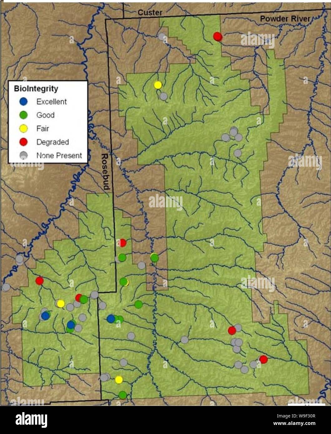 Macroinvertebrate hi-res stock photography and images - Alamy