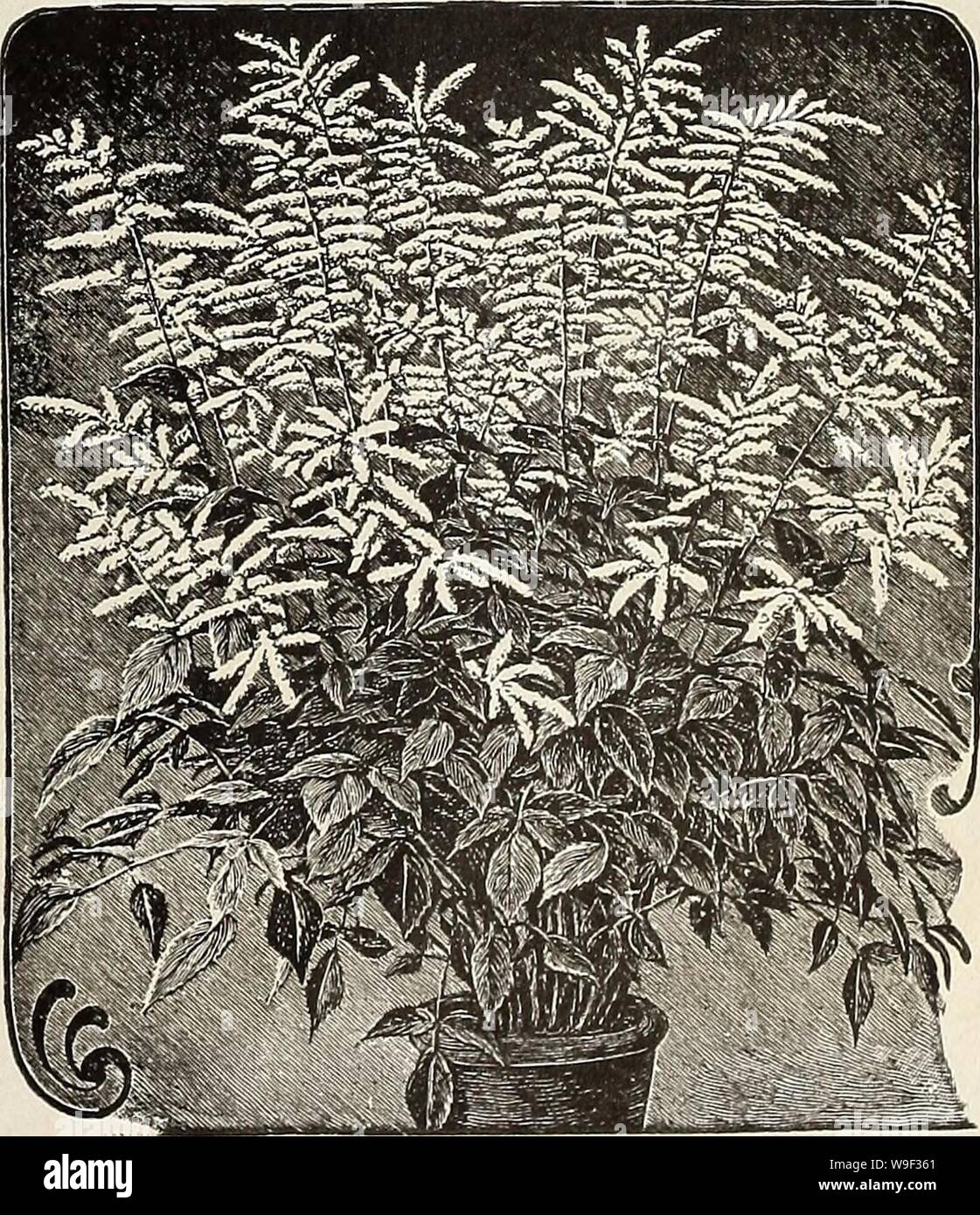 Charming pretty 35 year hi-res stock photography and images - Alamy