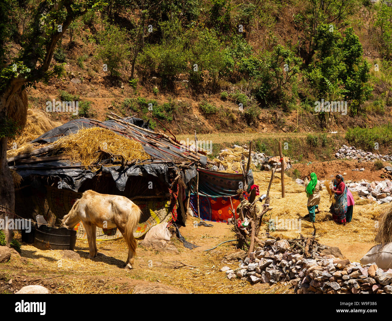 Womans in traditional clothes at Kundal Village, where Jim Corbett come ...