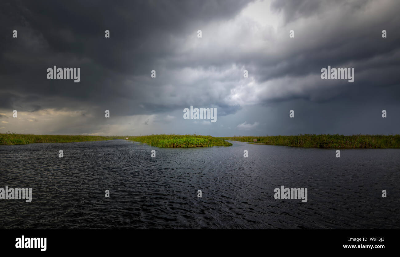 A summer thunderstorm approaches in the Florida Everglades. During the ...