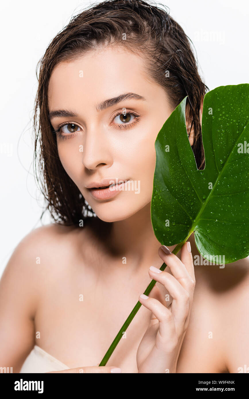 beautiful wet young woman looking at camera with green palm leaf with ...