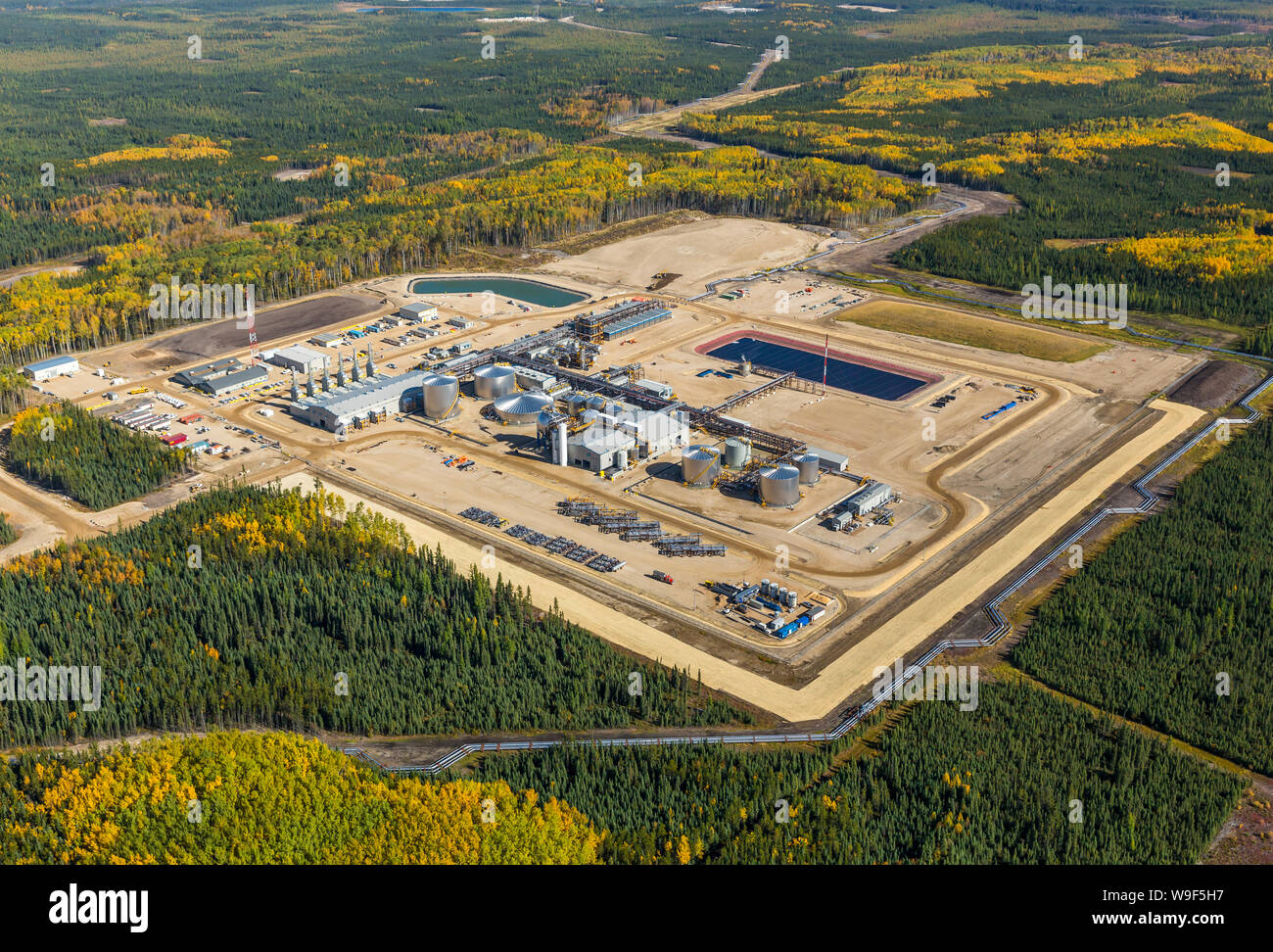 Jackfish 3 hi-res stock photography and images - Alamy