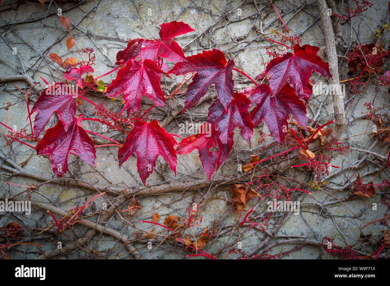 Castle ward ireland game of thrones hi-res stock photography and images ...