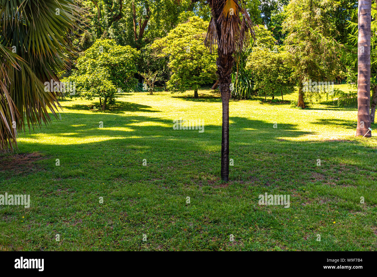 Italy, Naples, botanical garden, floral landscape with rare trees and ...