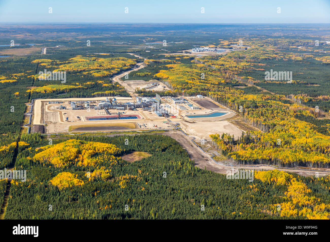 Jackfish 3 hi-res stock photography and images - Alamy