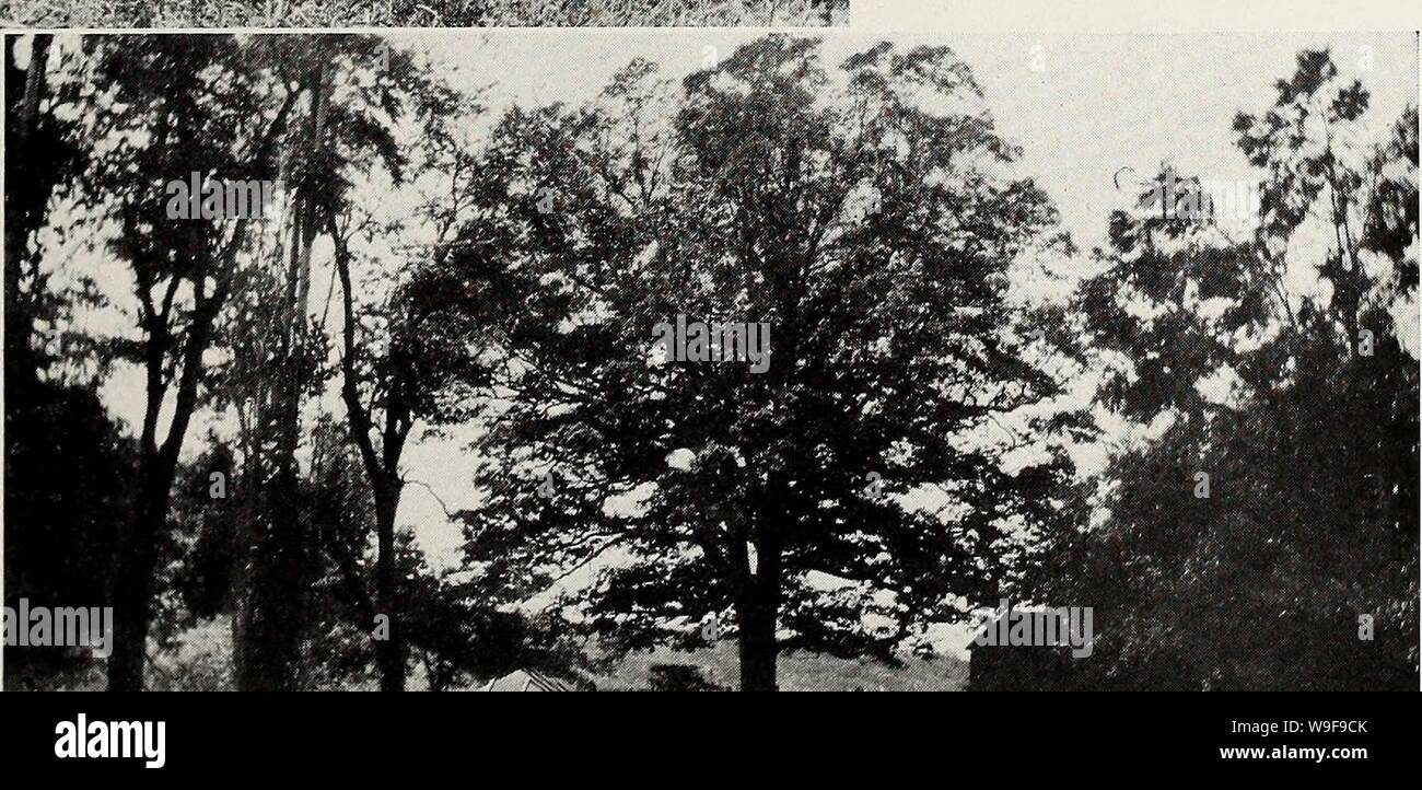 Curios and relics hi-res stock photography and images - Alamy