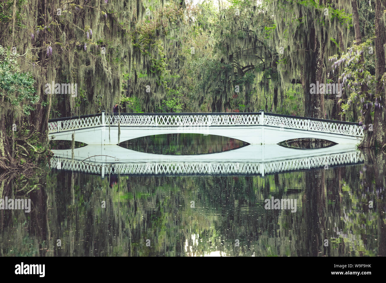 Moss covered bridge hi-res stock photography and images - Alamy