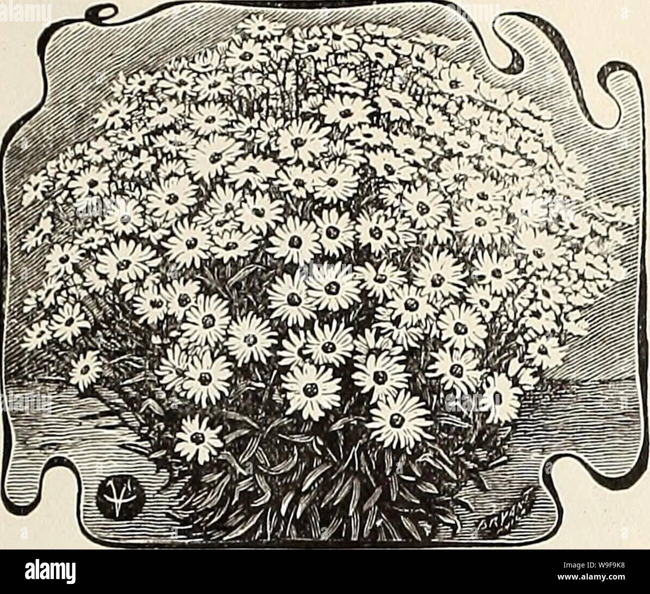 Seed trade catalog collection hi-res stock photography and images - Alamy